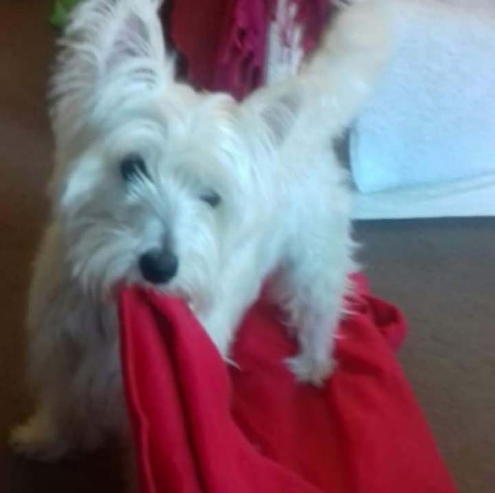 CONTACT | Beverley Anderson